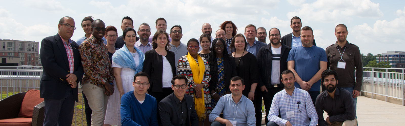 Professional Fellowship Program